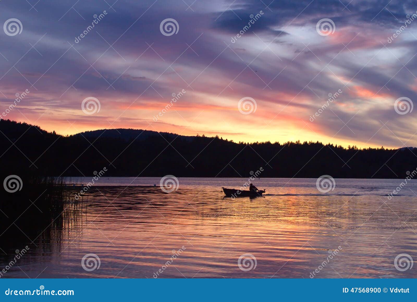 Sunset Over Elk Lake, Victoria, BC Stock Photo - Image of forest, color ...