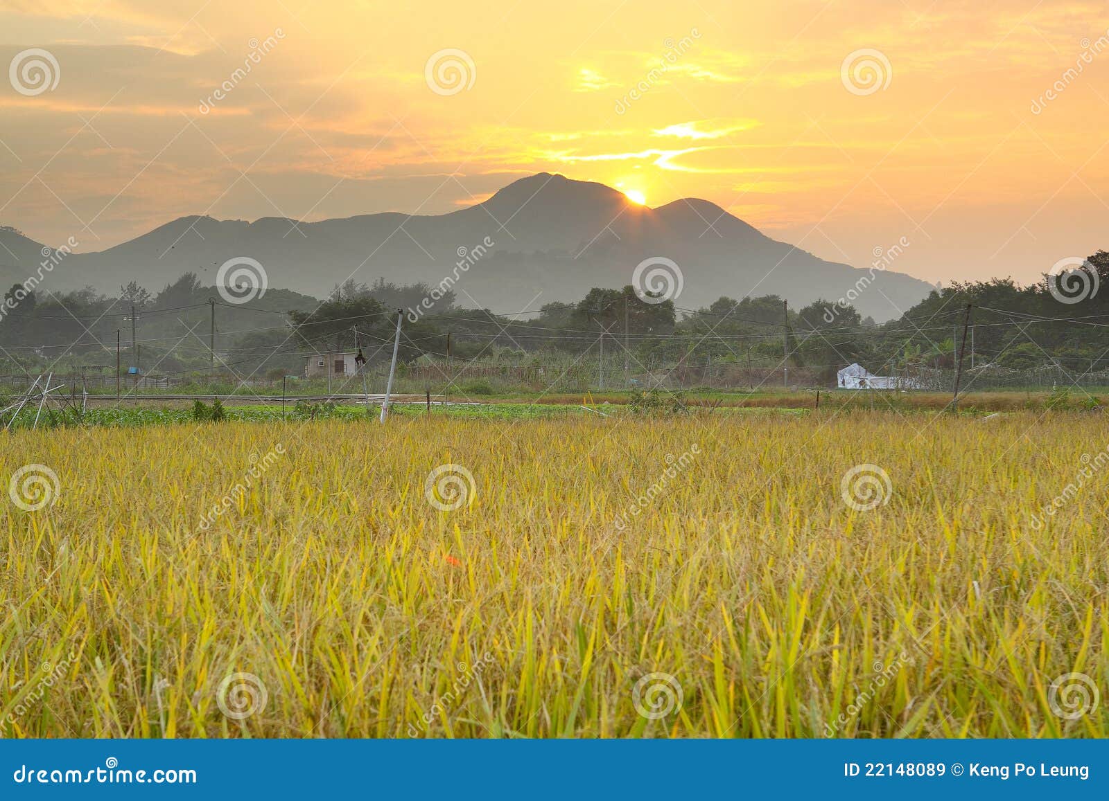 Sunset over farm field stock image. Image of golden, dusk - 22148089