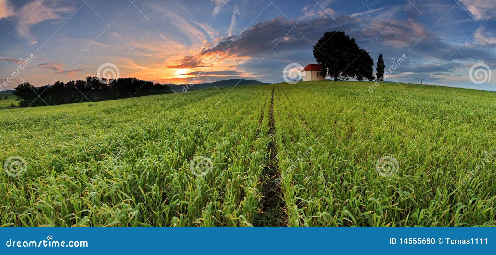 Sunset Over Farm Field with Lone Tree. Stock Photo - Image of rays ...
