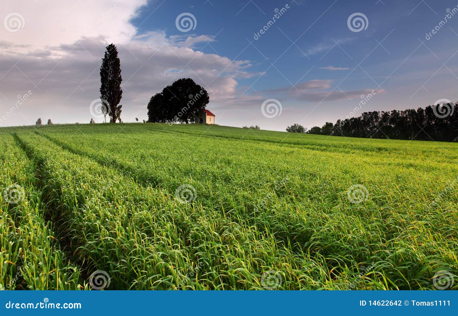 Sunset Over Farm Field with Lone Tree Stock Photo - Image of ...