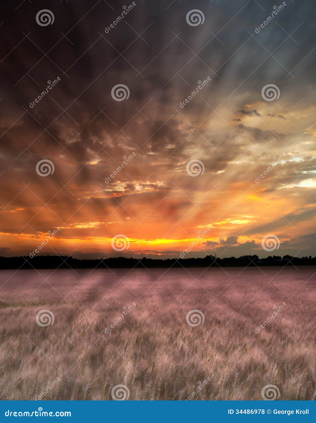 Sunset over farm field stock photo. Image of landscape - 34486978