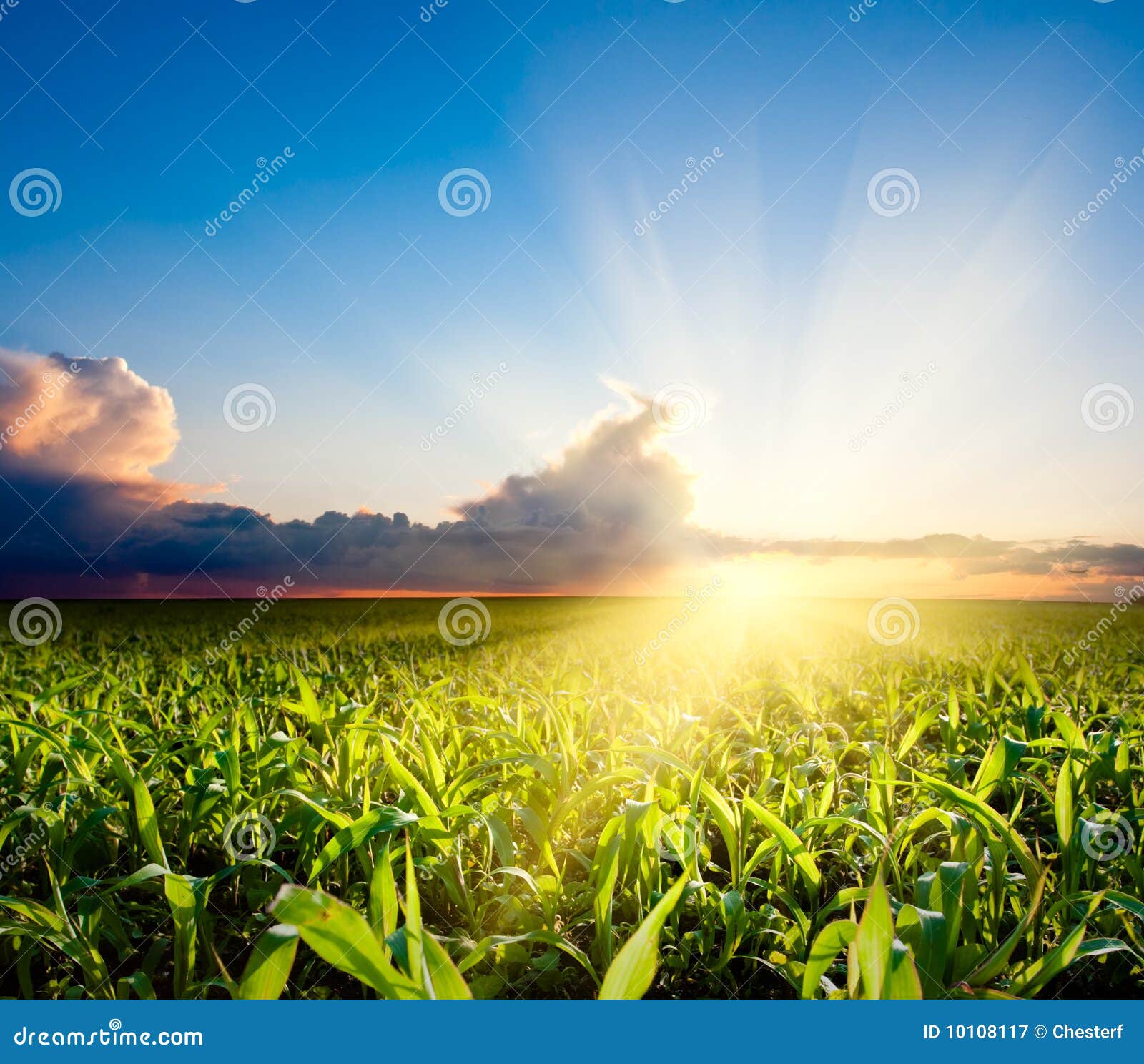 Sunset over the field stock image. Image of blue, scene - 10108117