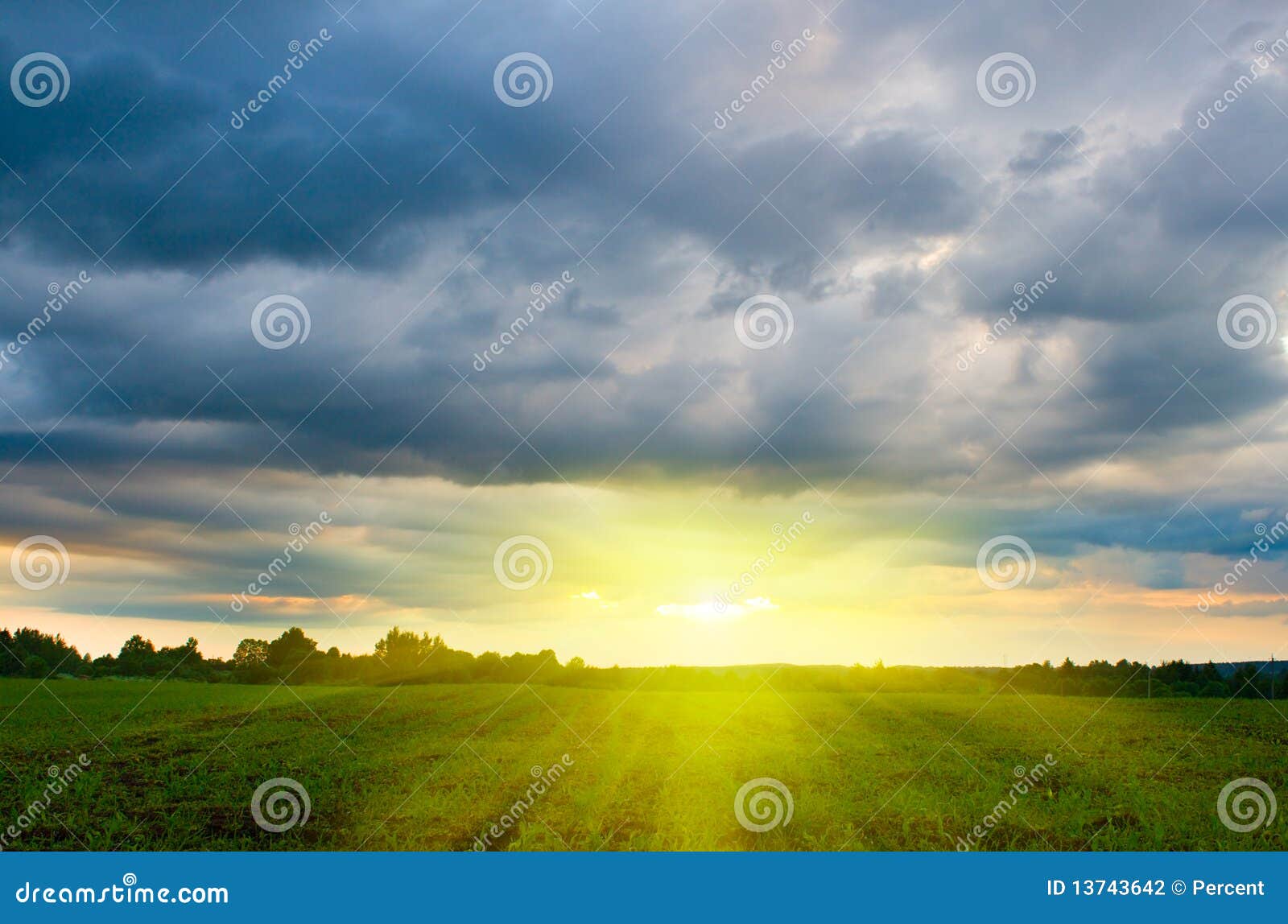 Sunset over the field stock photo. Image of green, corn - 13743642