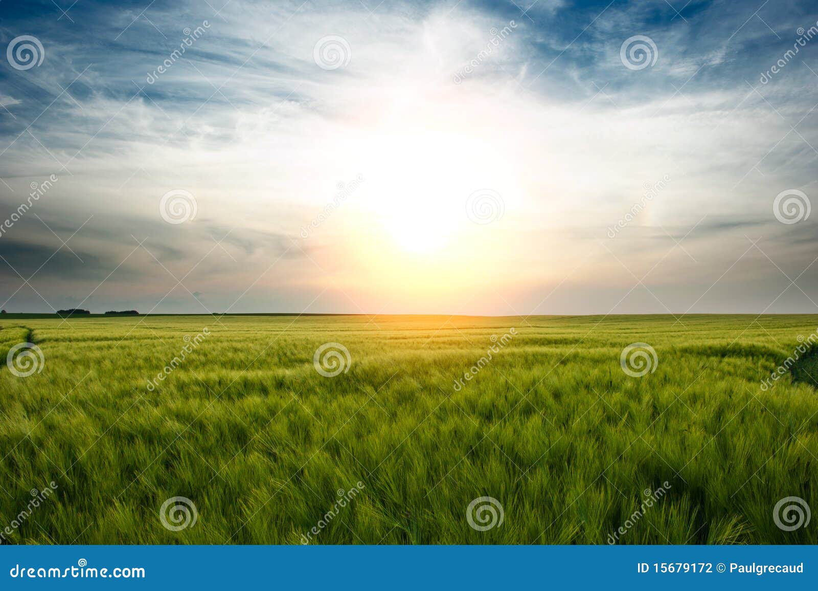 A sunset over a field stock photo. Image of health, agriculture - 15679172