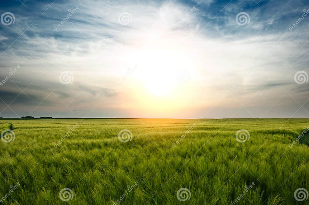 A sunset over a field stock photo. Image of health, agriculture - 15679172