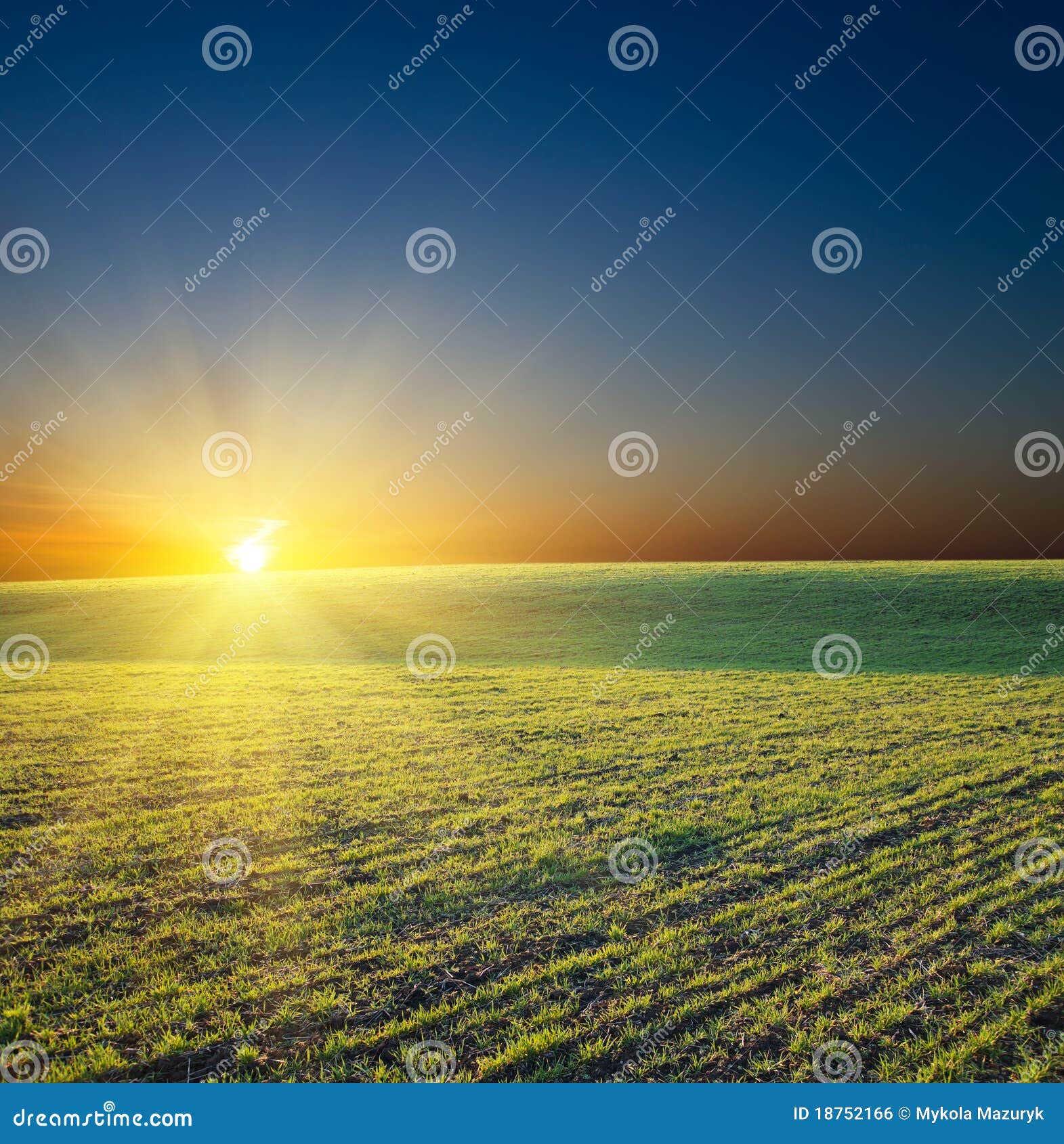 Sunset over field stock photo. Image of orange, light - 18752166
