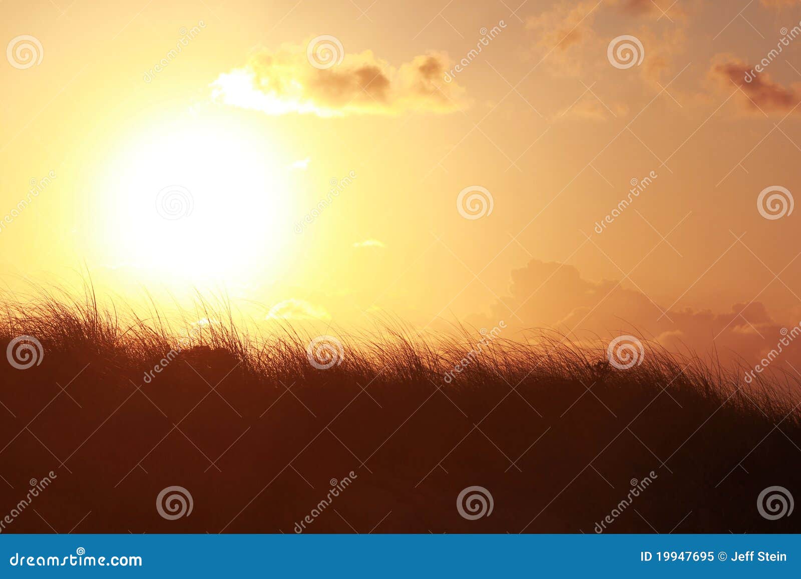Sunset over field stock image. Image of peaceful, outside - 19947695