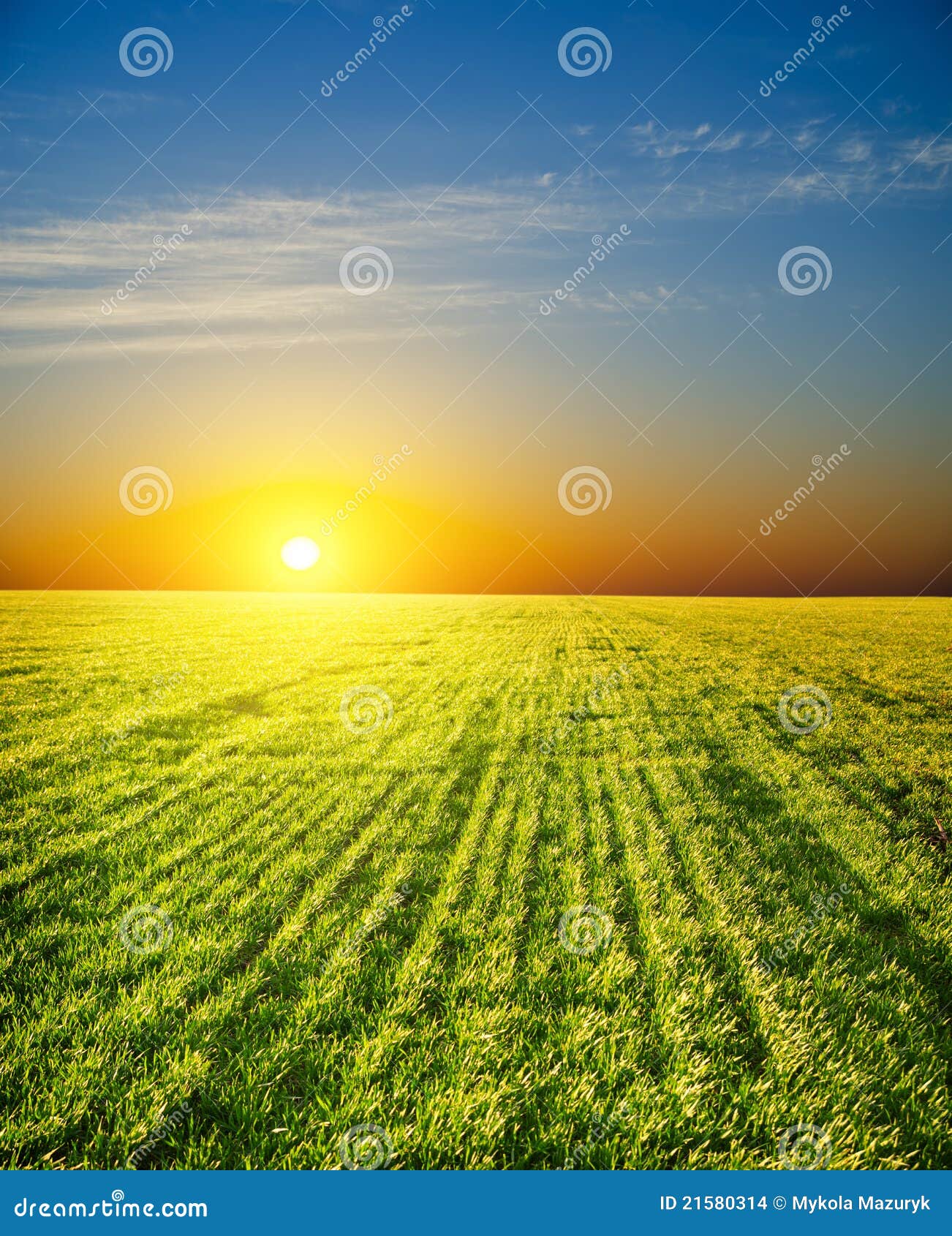 Sunset over field stock photo. Image of agriculture, farmland - 21580314