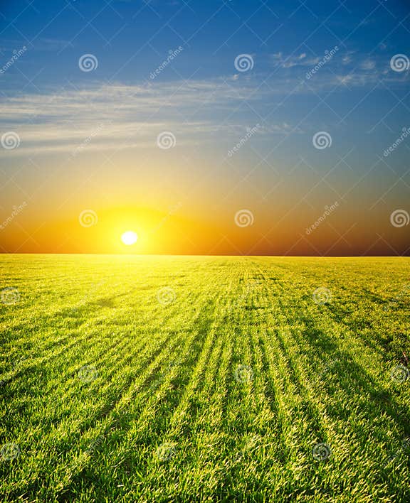 Sunset over field stock photo. Image of agriculture, farmland - 21580314