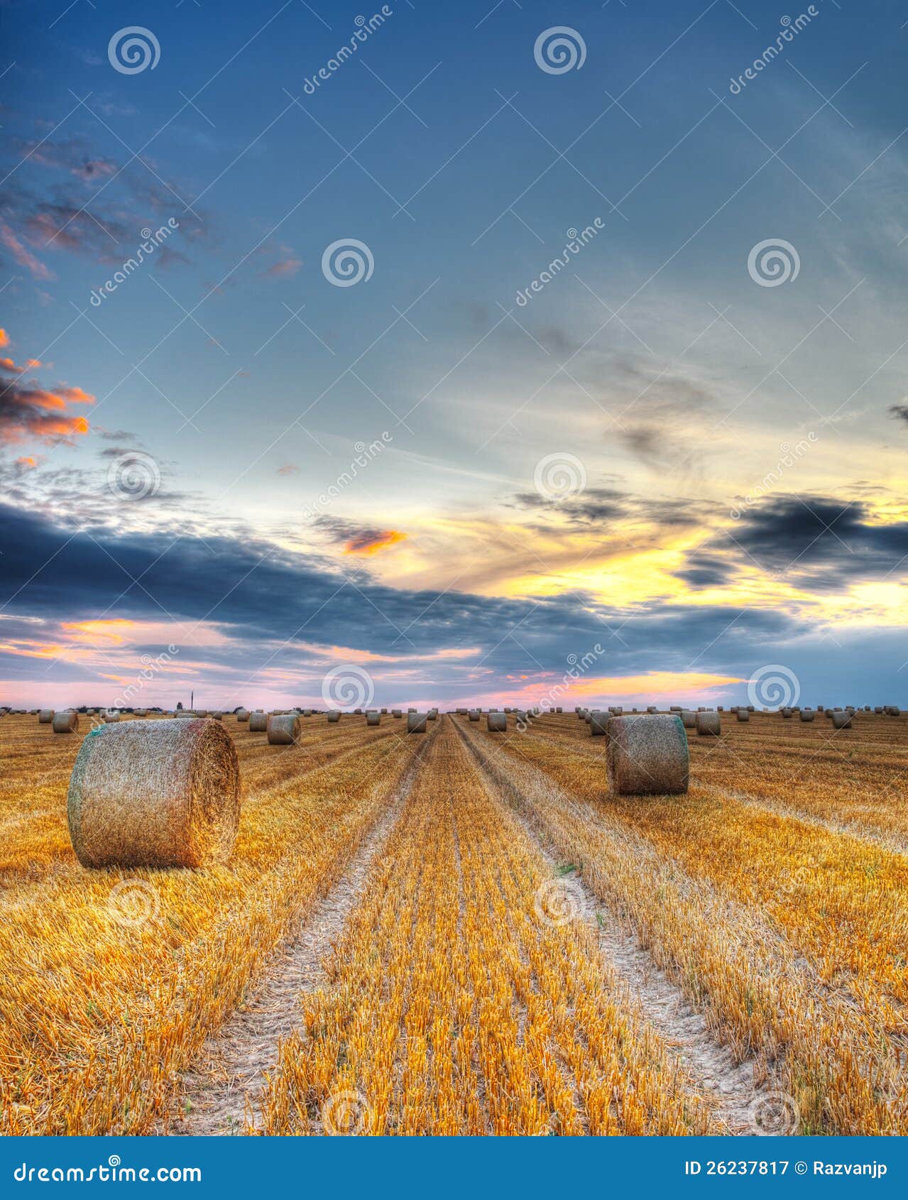 Sunset over the field stock image. Image of country, harvesting - 26237817