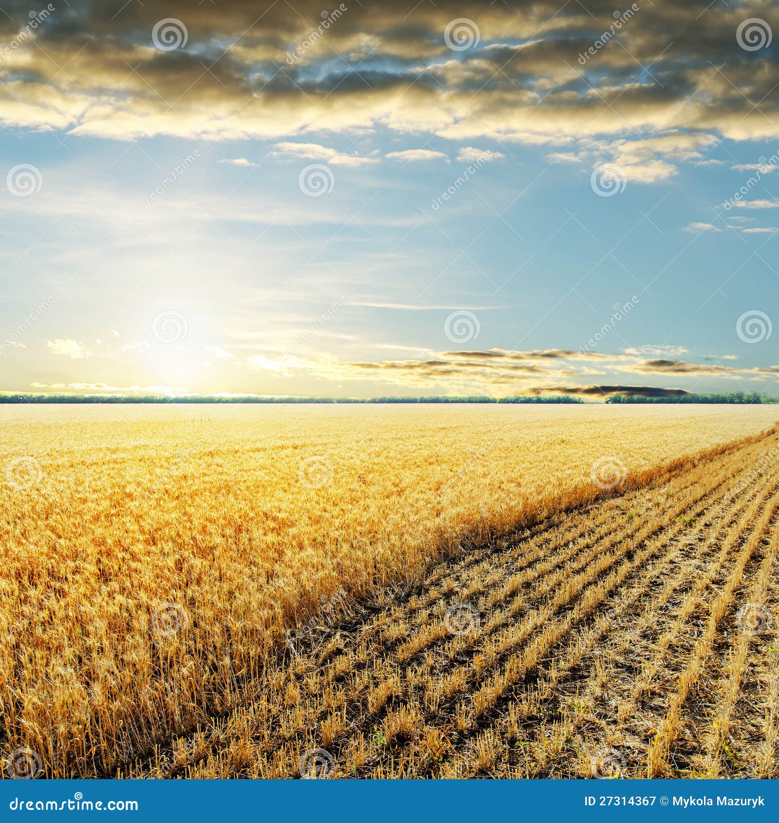 Sunset over field stock image. Image of field, gold, landscape - 27314367