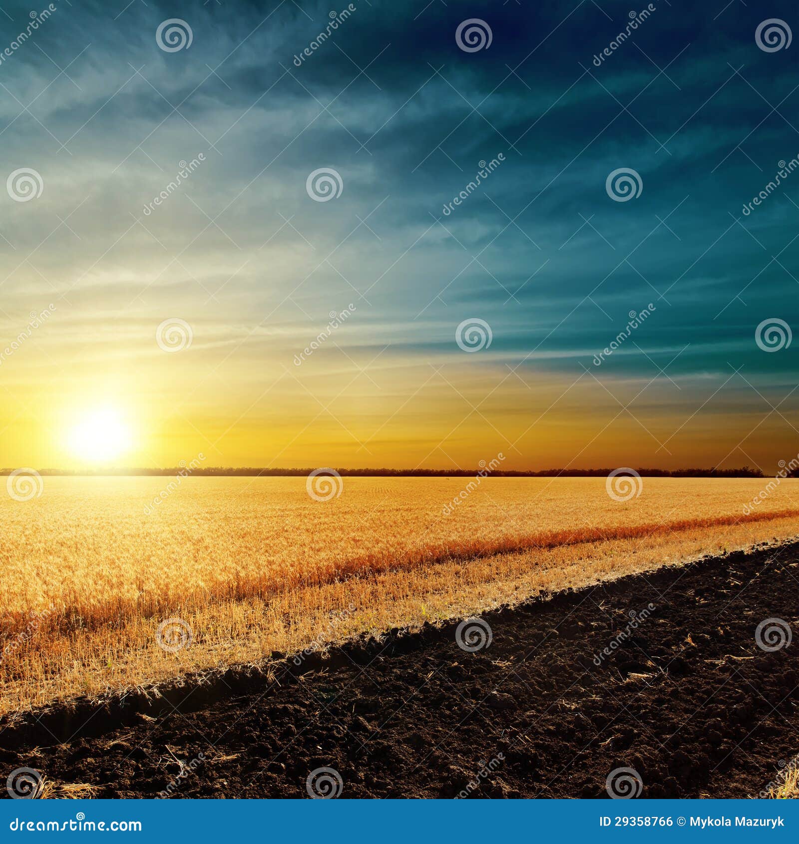 Sunset over field stock photo. Image of evening, farmland - 29358766