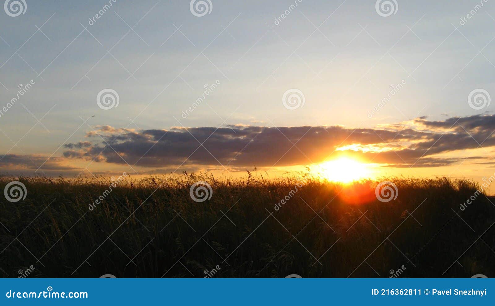 Sunset over the field stock image. Image of sunset, landscape - 216362811