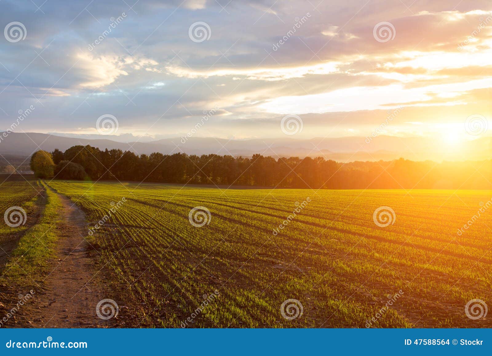 Sunset over the field stock photo. Image of dramatic - 47588564