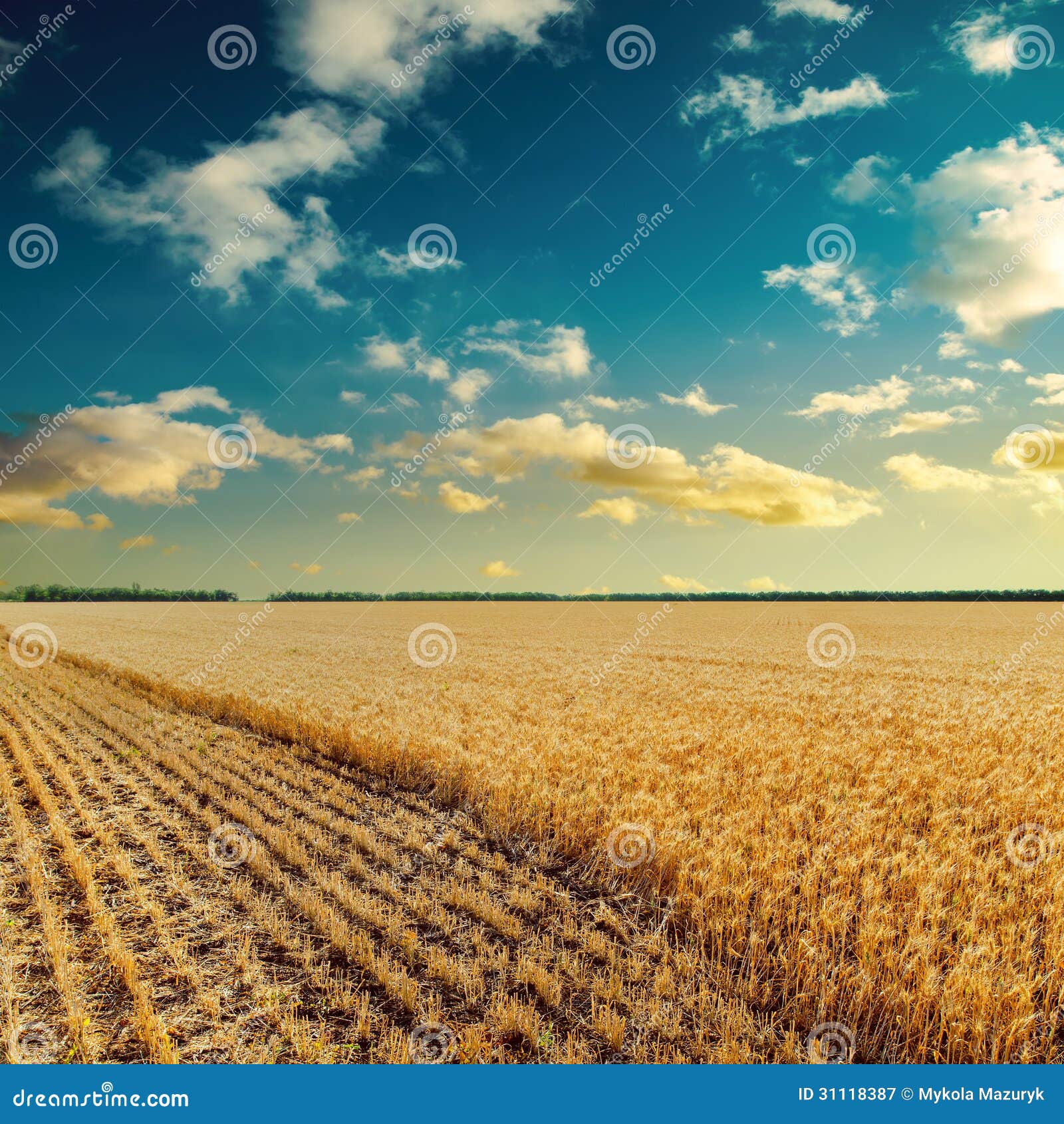 Sunset over field stock image. Image of autumn, cloudscape - 31118387