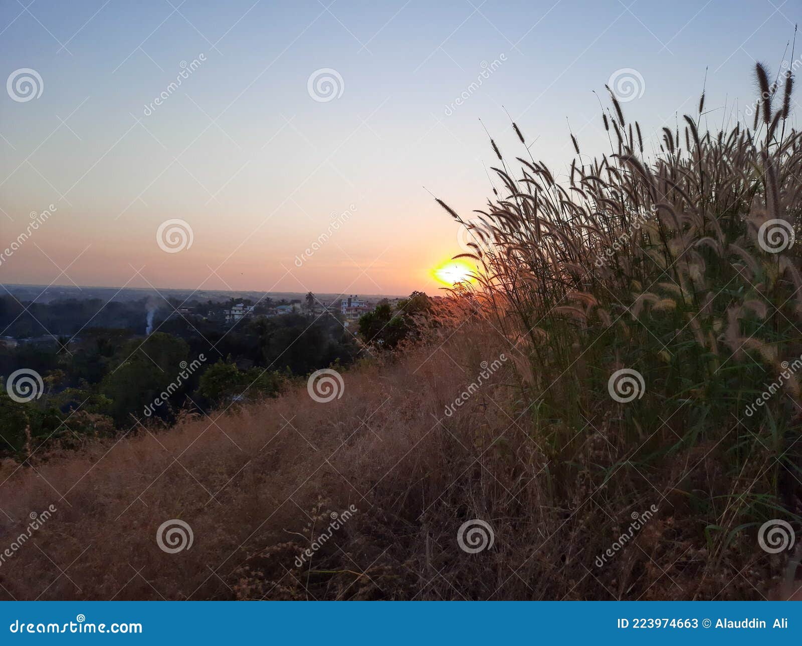 Sunset Over the Field, Sunset in the Mountains, Grass Field Over Sunset ...