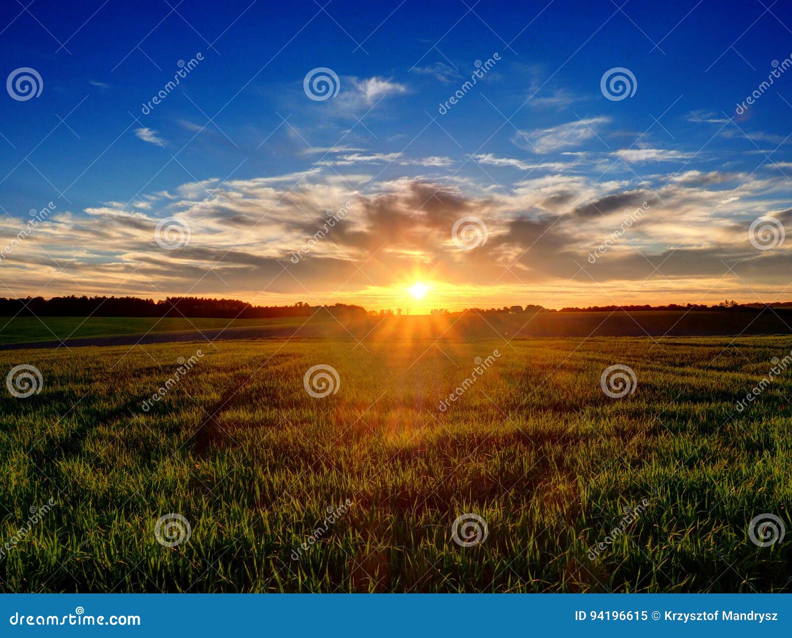 Sunset Over Field in Poland Stock Image - Image of sunset, agriculture ...