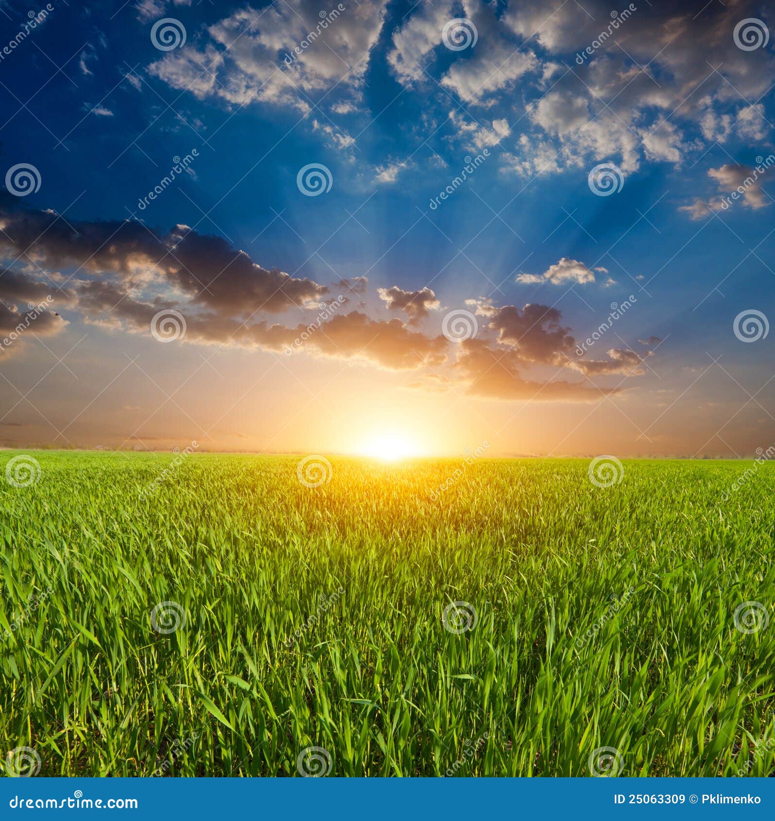 Sunset Over Field in Steppe Stock Image - Image of nature, dusk: 25063309