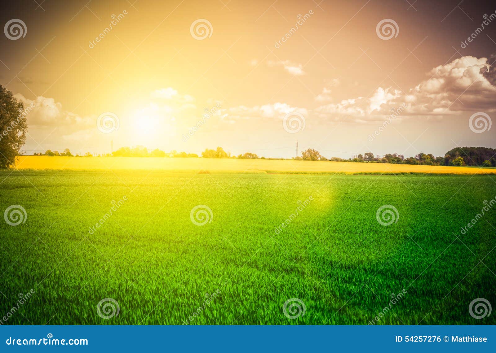 Sunset over field stock photo. Image of environment, outdoors - 54257276