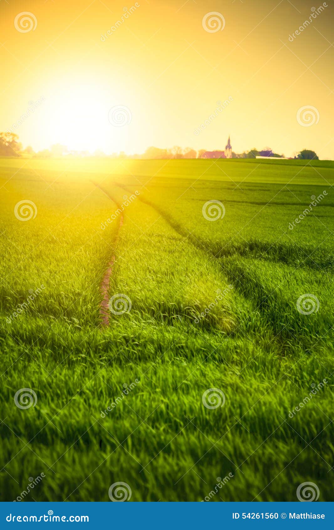 Sunset over field stock photo. Image of summer, rays - 54261560
