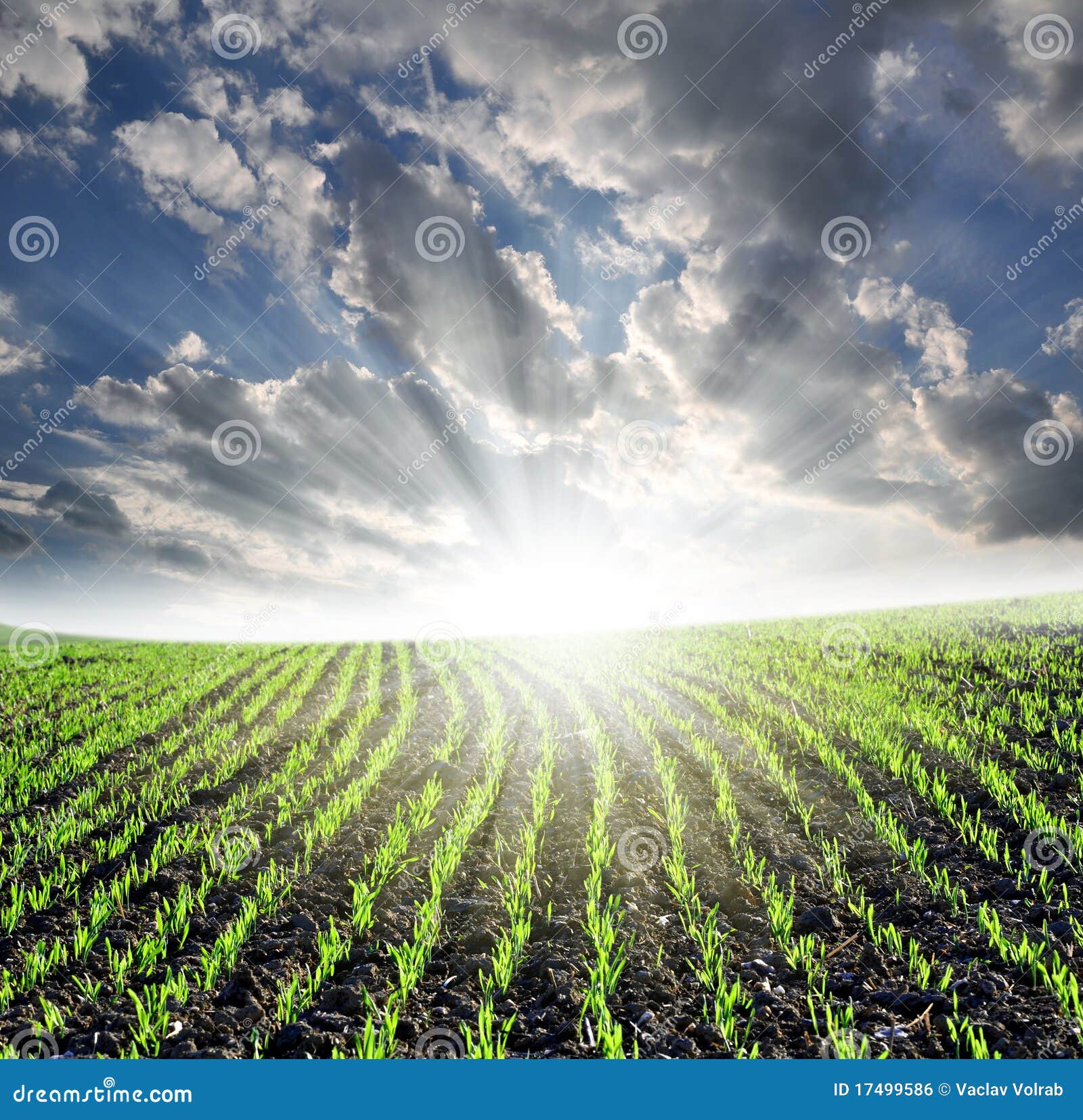Sunset over fields stock photo. Image of green, agricultural - 17499586
