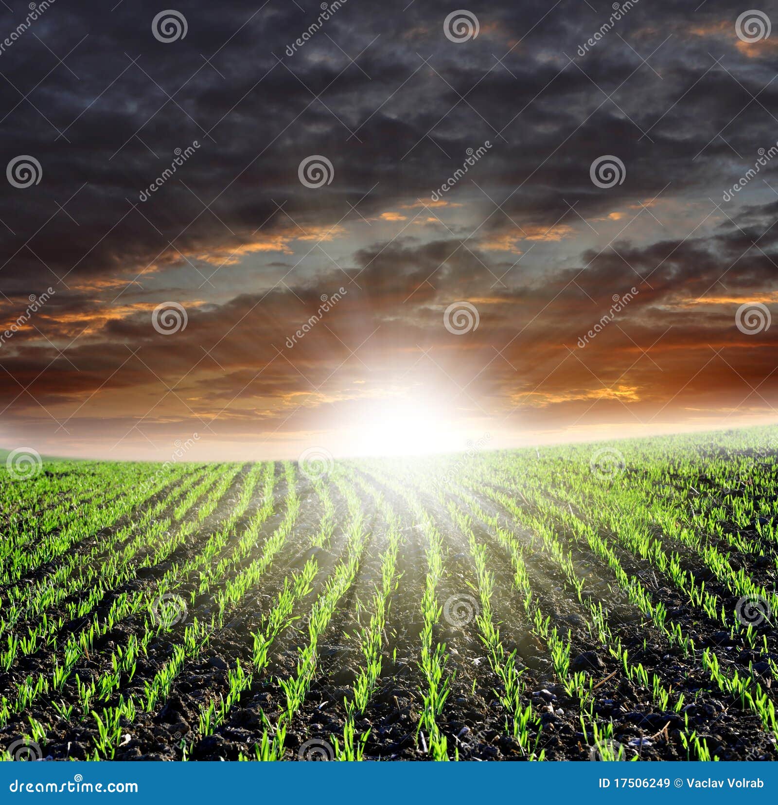 Sunset over fields stock image. Image of path, grow, plain - 17506249