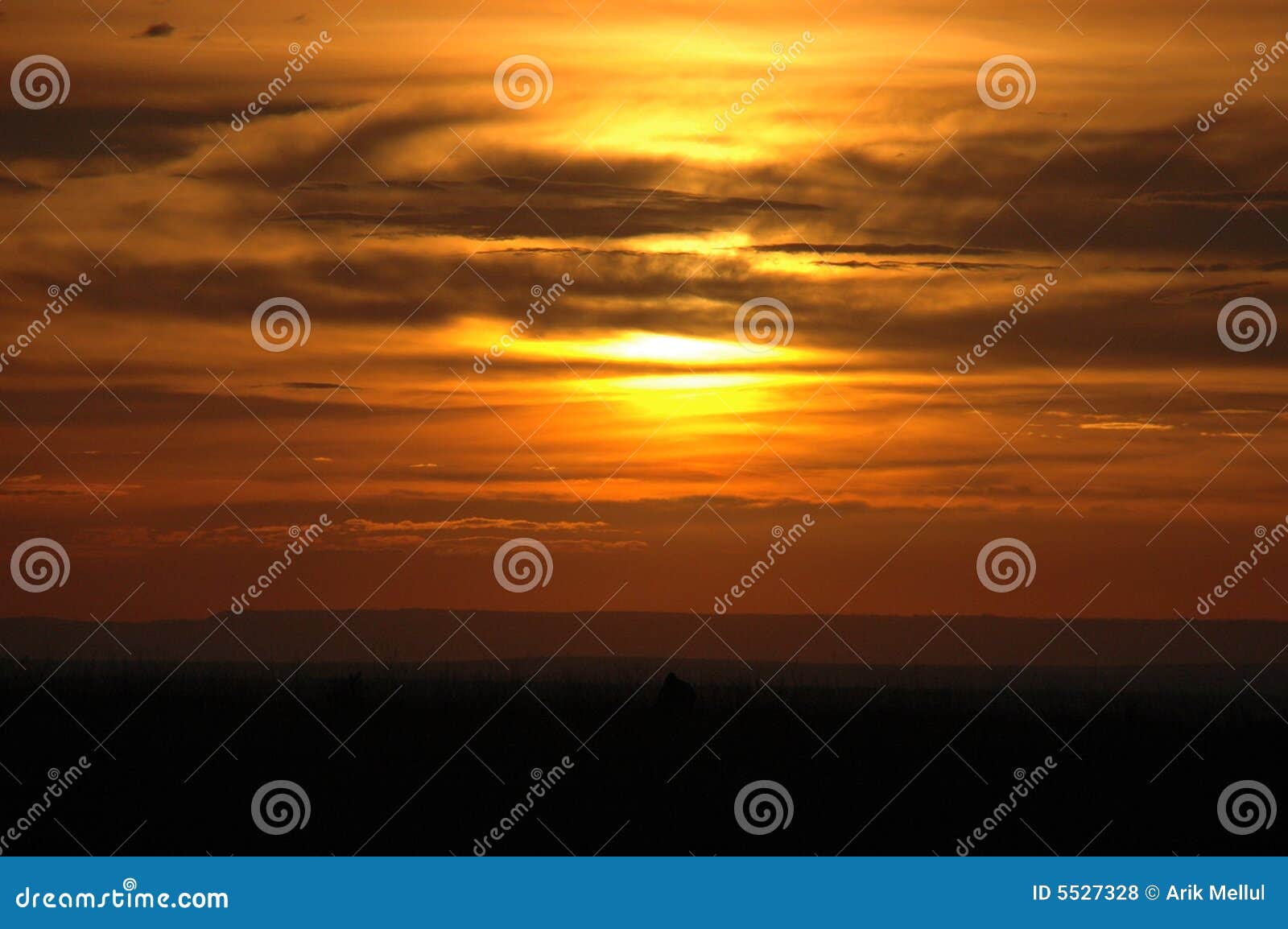 Firey Field Stock Photos - Free & Royalty-Free Stock Photos from Dreamstime