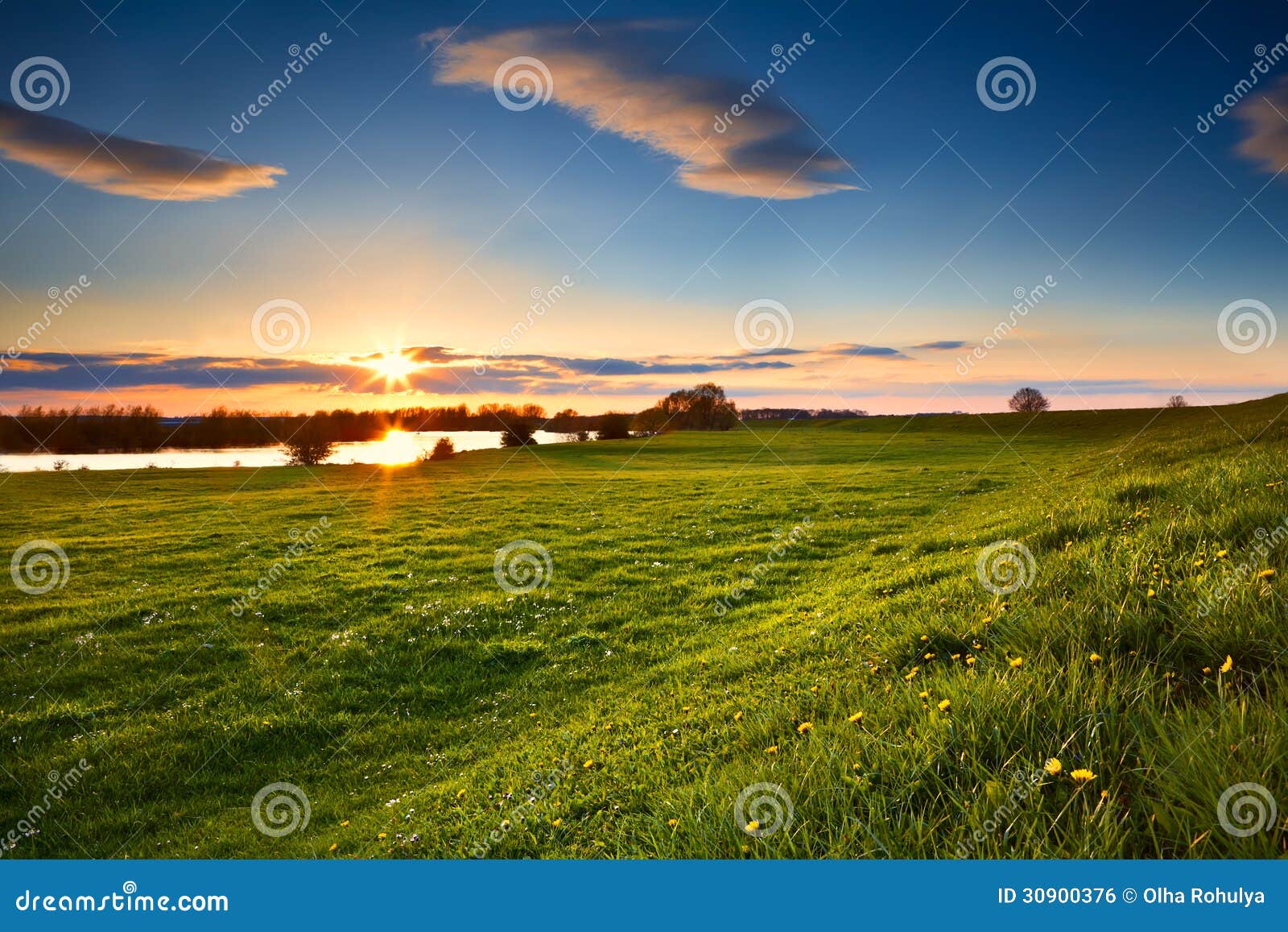 Sunset Over Flowering Meadows Stock Photo - Image of landscape ...
