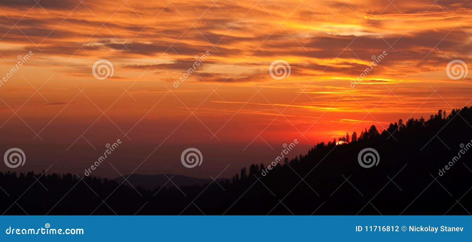 Sunset over the Forest stock photo. Image of view, tree - 11716812