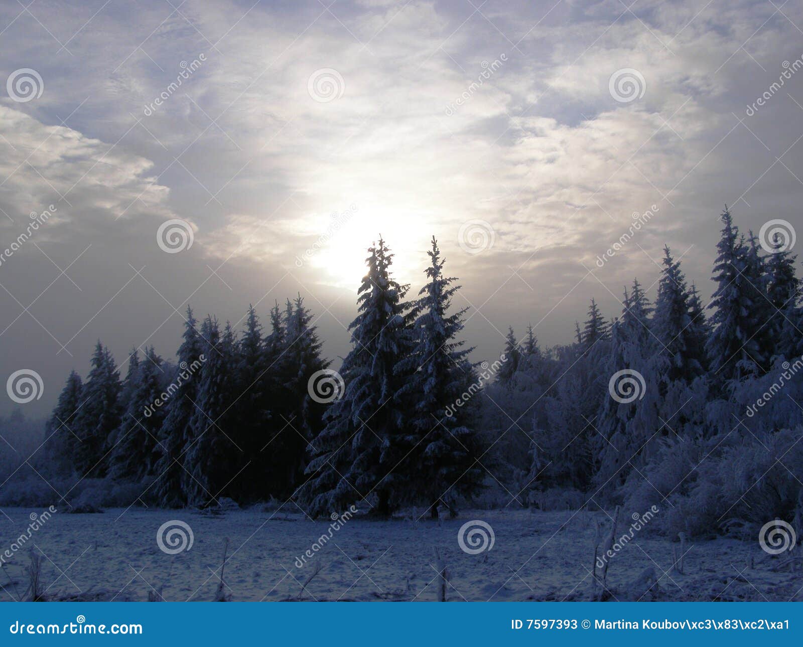Sunset over the forest stock image. Image of tree, snow - 7597393