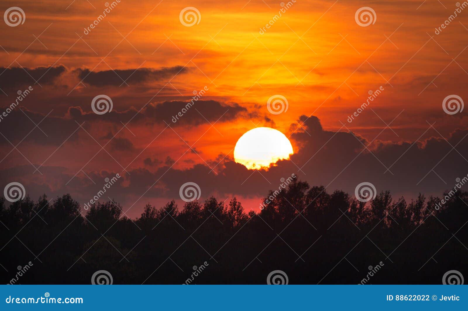 Sunset over forest stock photo. Image of moon, natural - 88622022