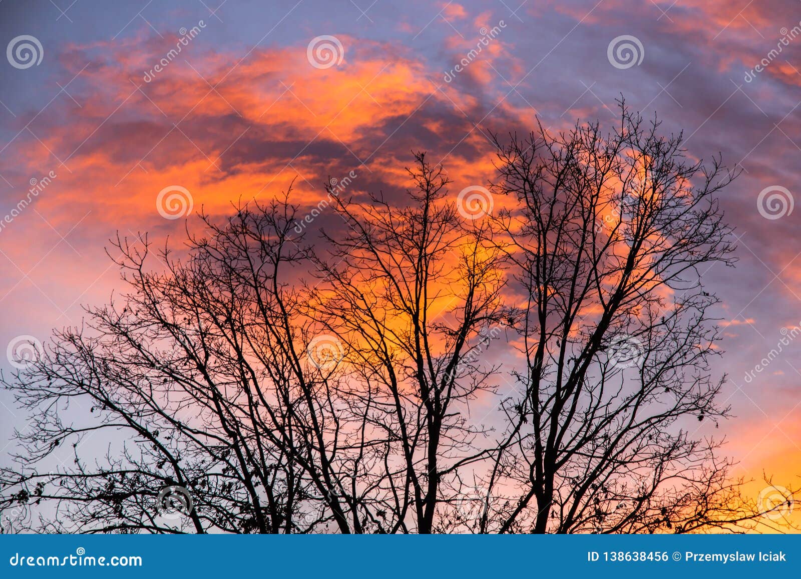 Sunset Over Forest with Dramatic Sky Stock Photo - Image of sunset ...