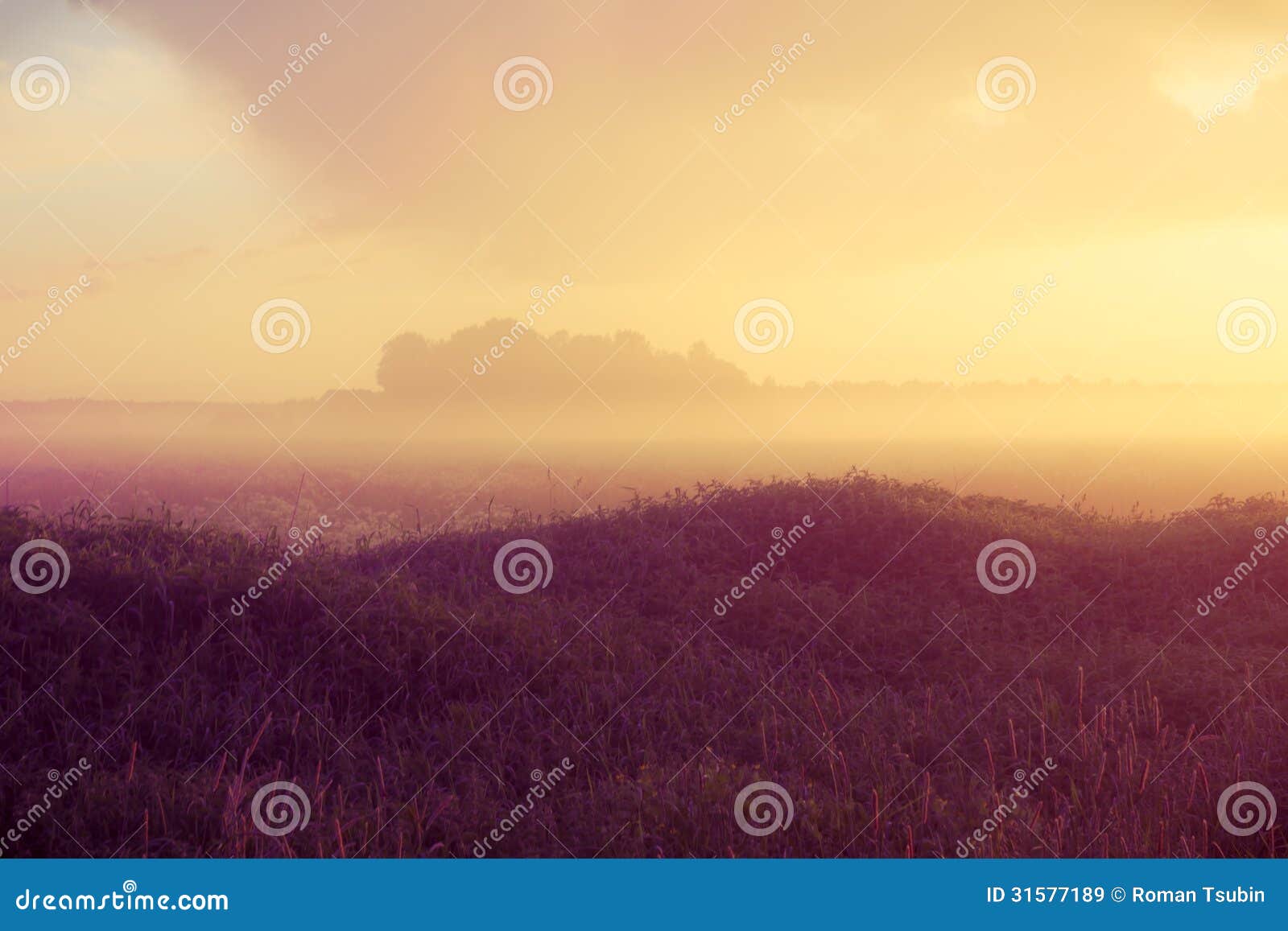 Sunset Over Forest with Fog Stock Image - Image of dusk, scenery: 31577189