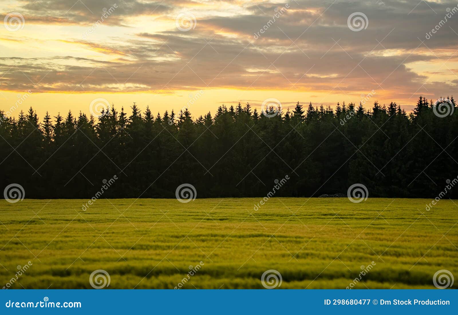 Sunset over the forest. stock image. Image of natural - 298680477