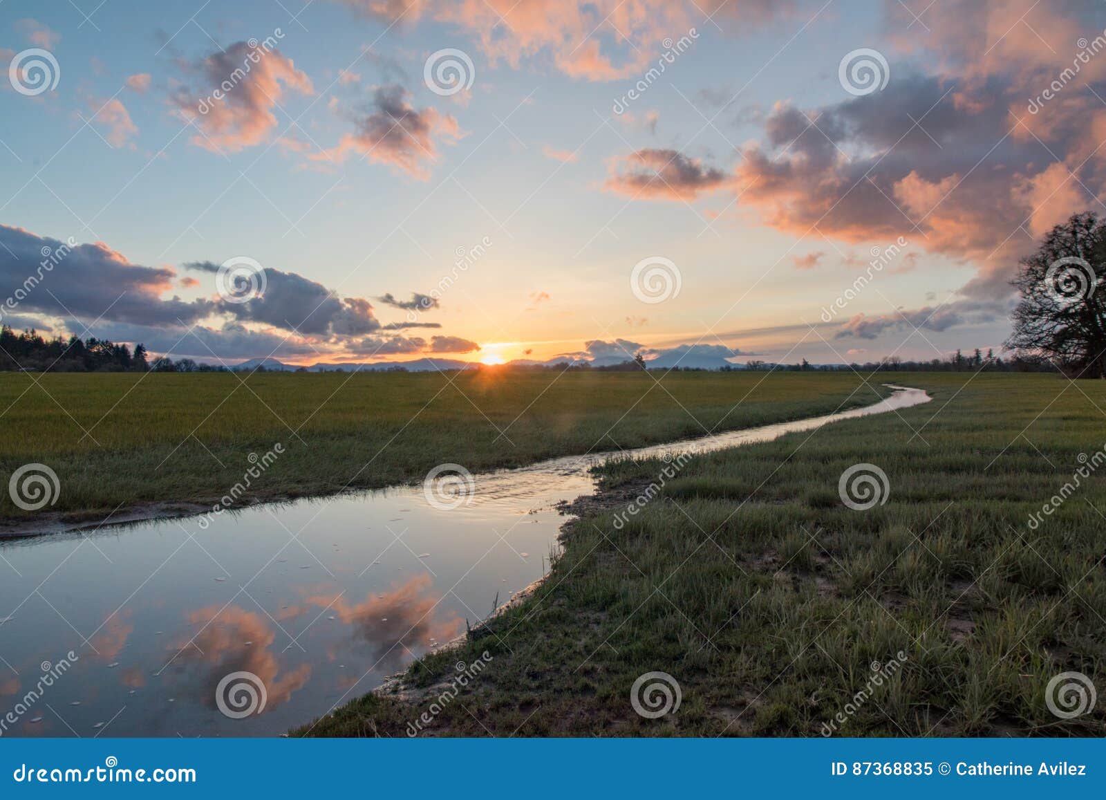Sunset over Grass Field stock image. Image of farming - 87368835