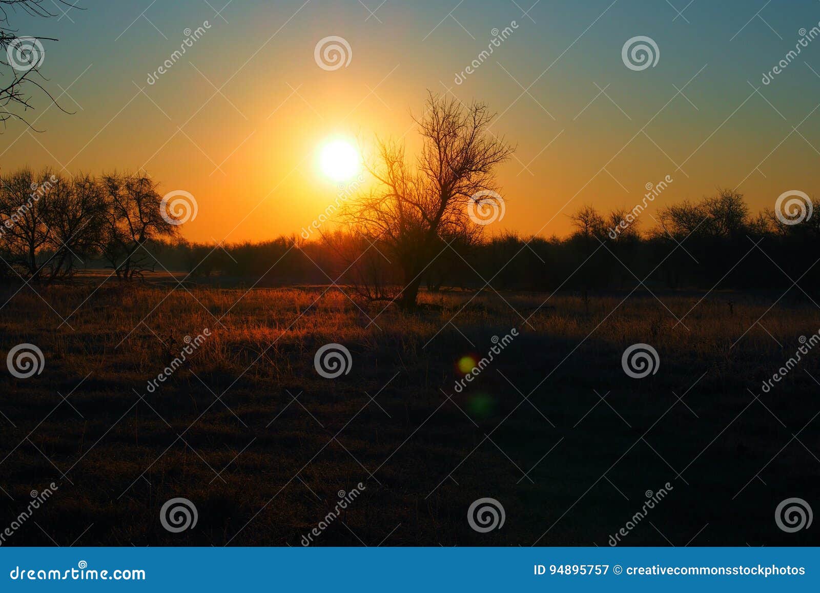 Sunset Over Grassland Picture. Image: 94895757