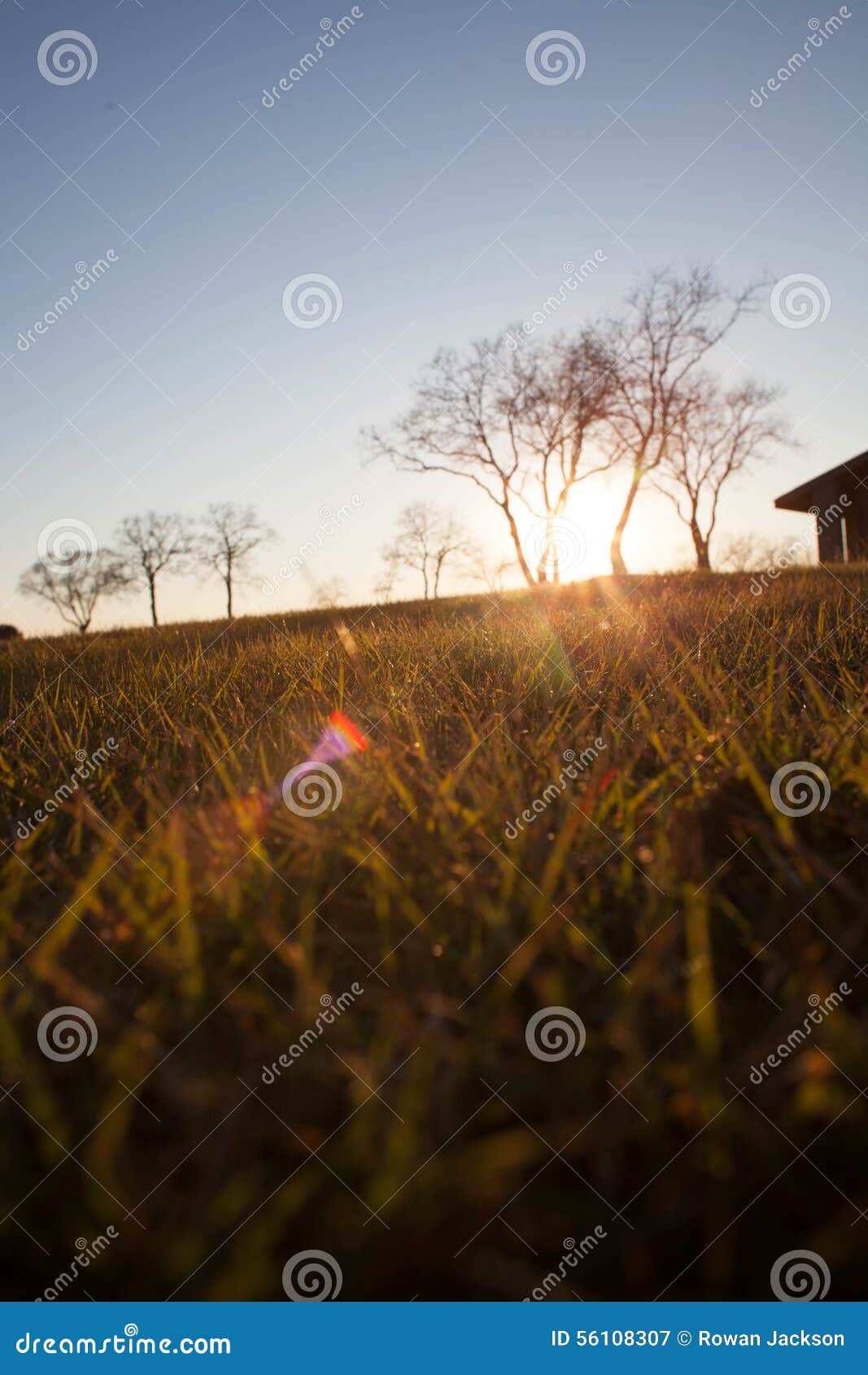 Sunset Over Grassy Field stock image. Image of light - 56108307