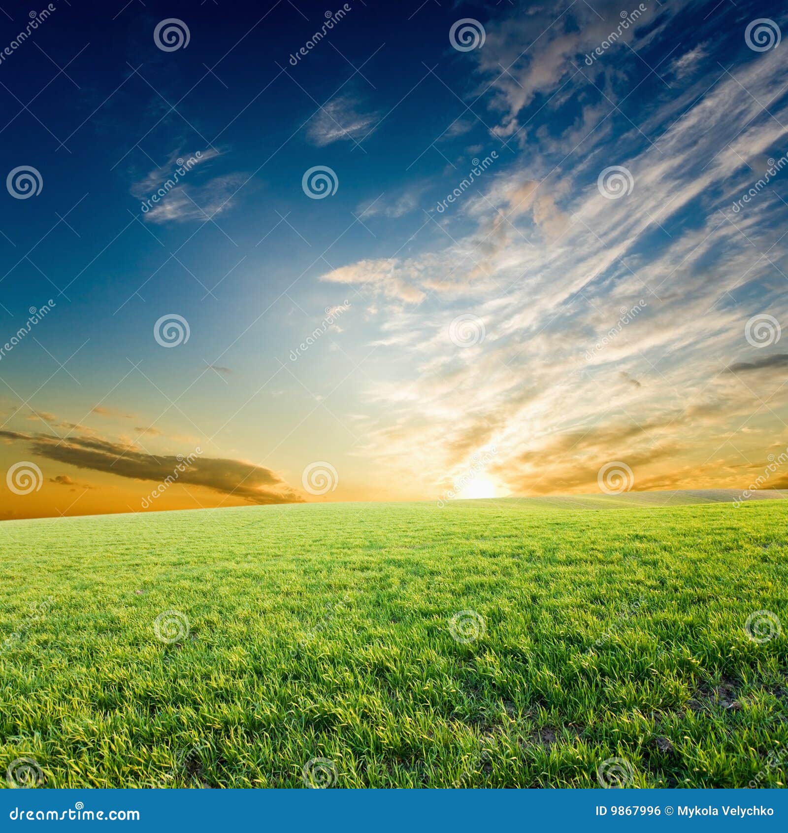 Sunset over green crops stock photo. Image of warm, sunlight - 9867996