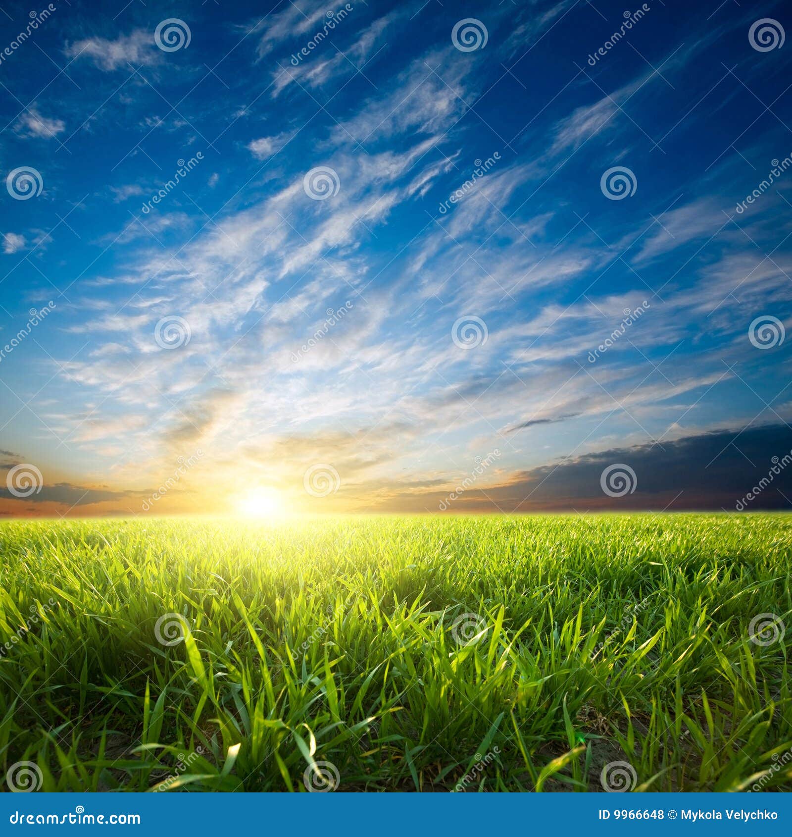 Sunset over green crops stock photo. Image of cloudscape - 9966648