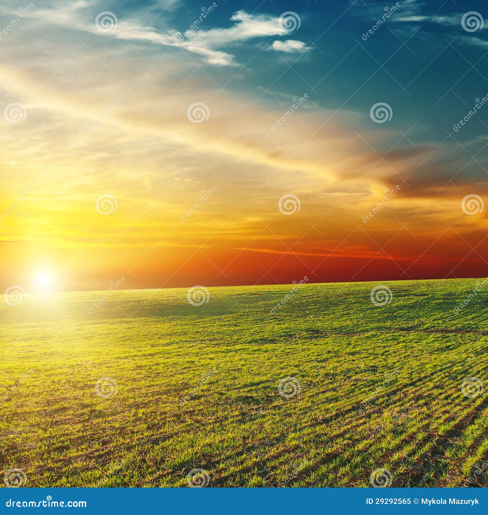 Sunset over green field stock image. Image of blue, hill - 29292565