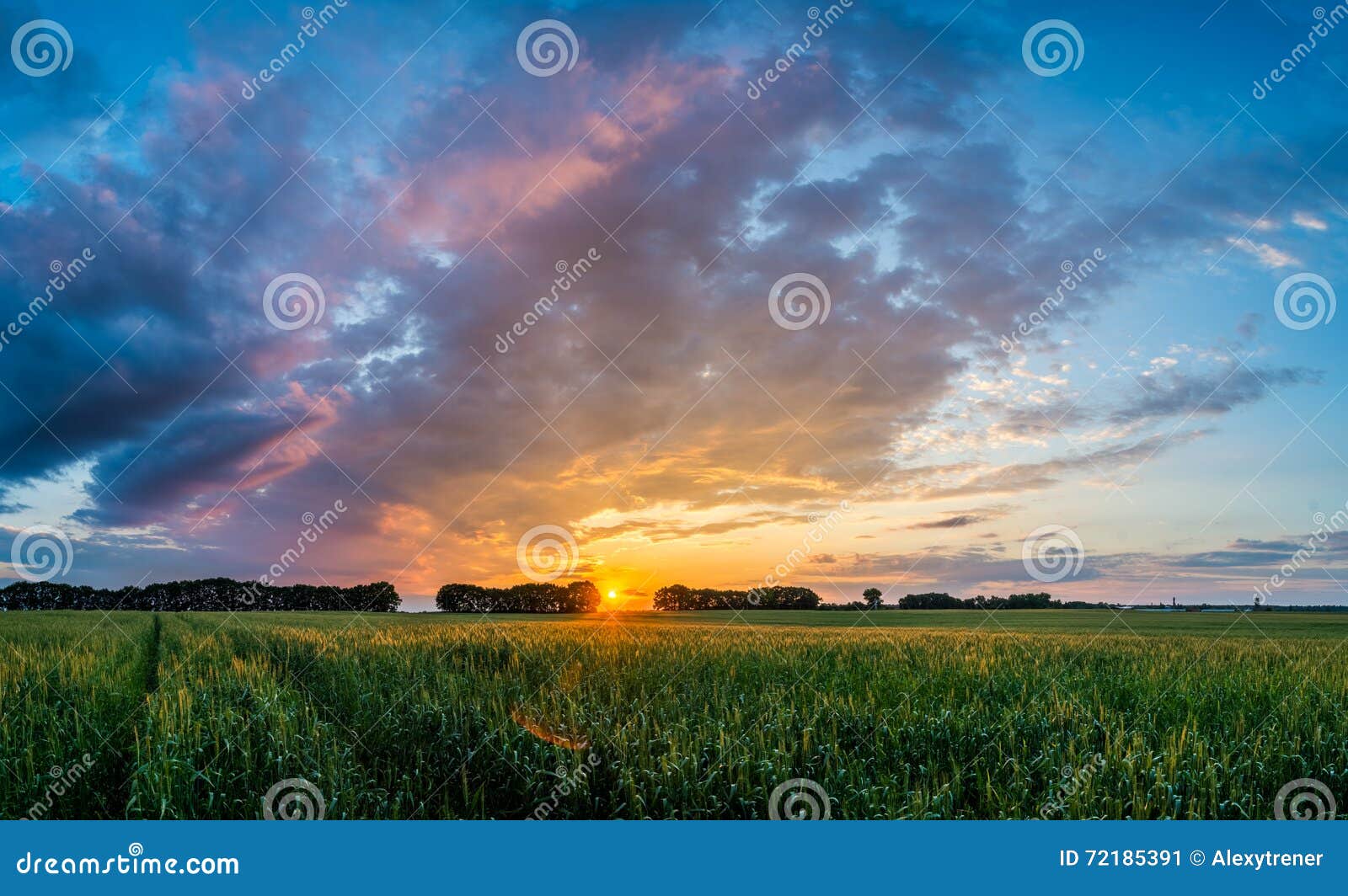 Sunset Over Green Field with Road Stock Image - Image of grass, farm ...