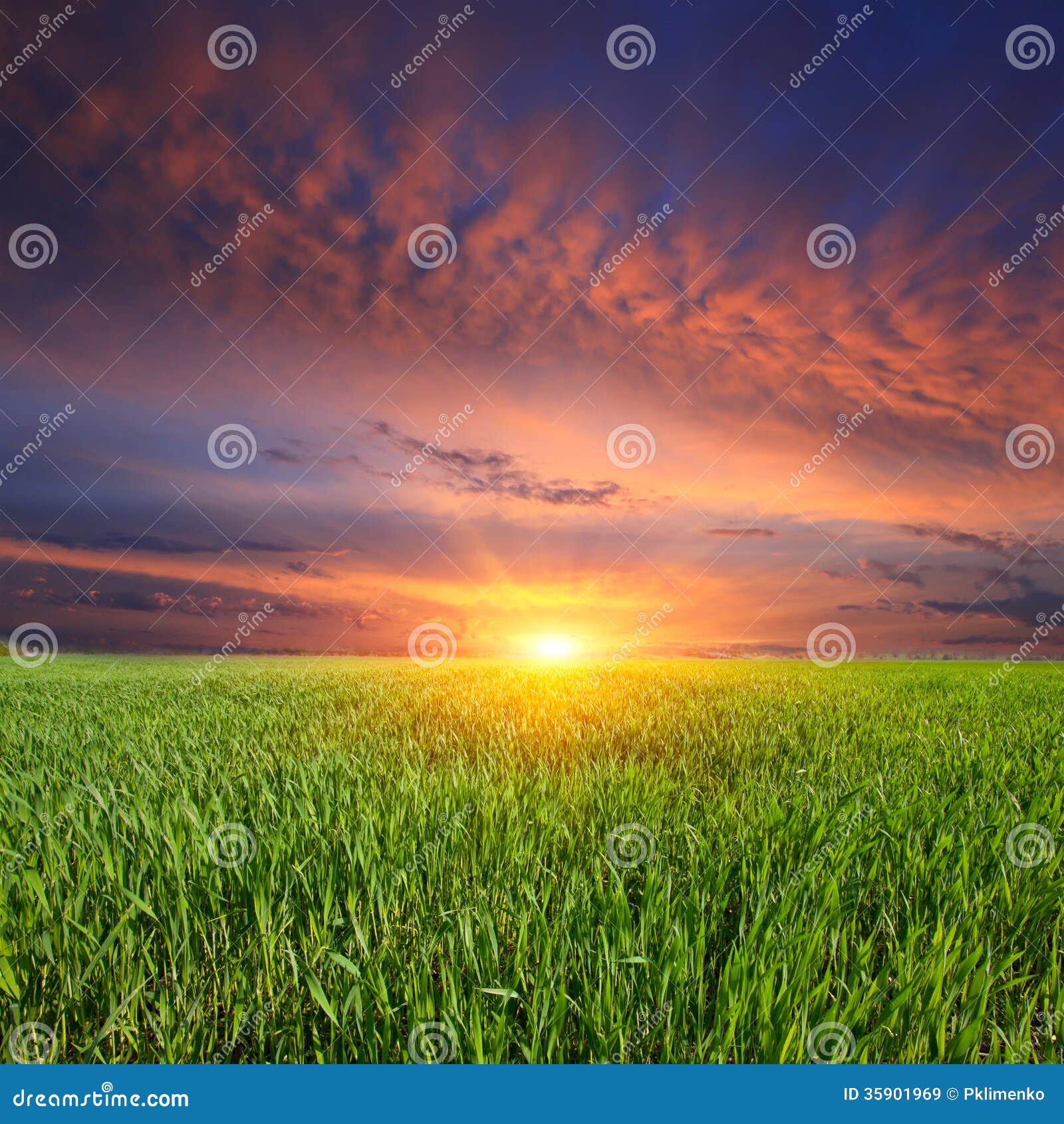 Sunset over green meadow stock image. Image of environment - 35901969