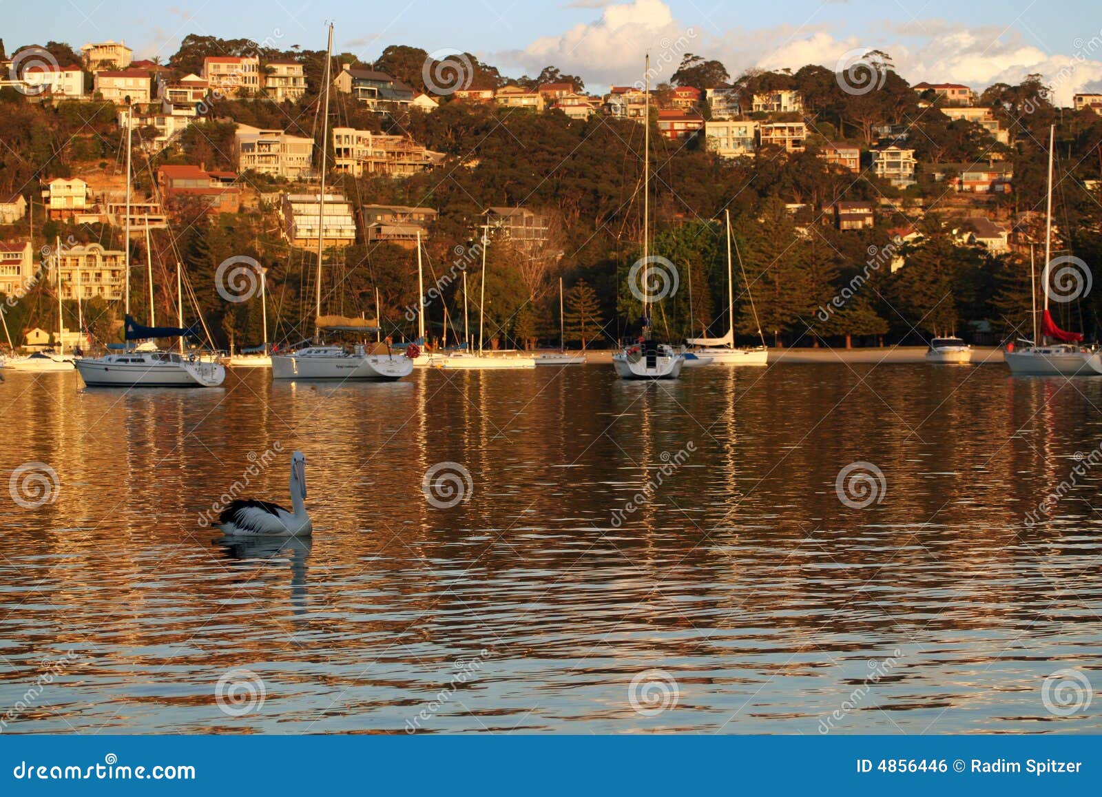 Sunset Over Harbour in Sydney Stock Photo - Image of dock, scenic: 4856446