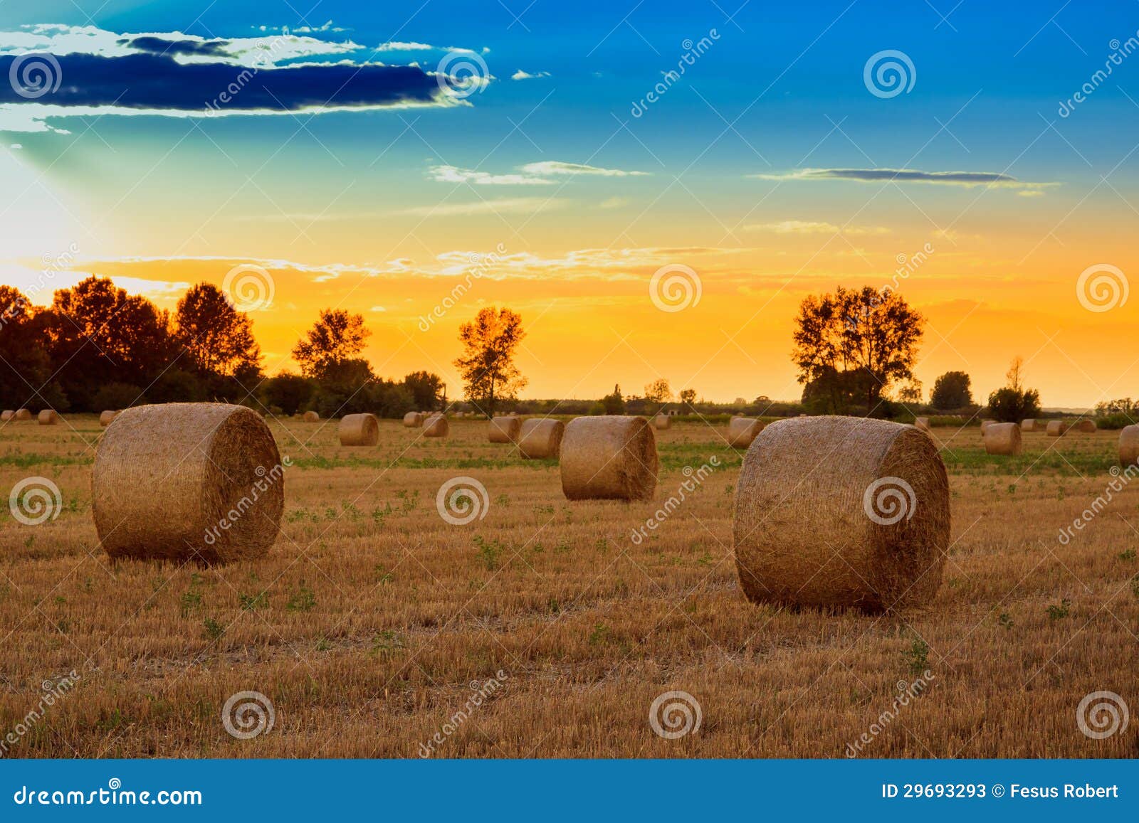 Sunset Over the Hay Bale Field Stock Image - Image of food ...