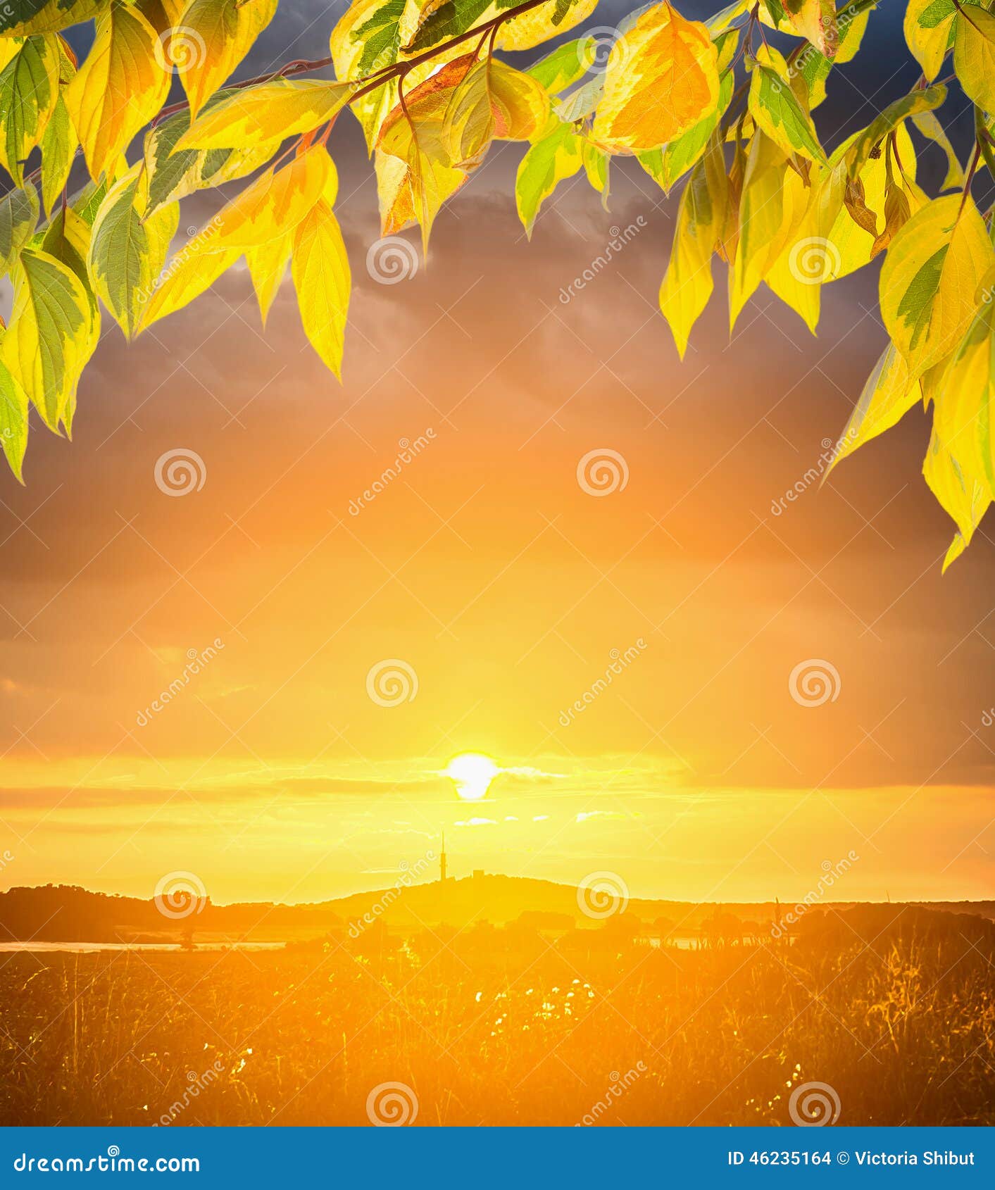 Sunset Over Hill and Autumn Leaves, Stock Photo - Image of focus ...