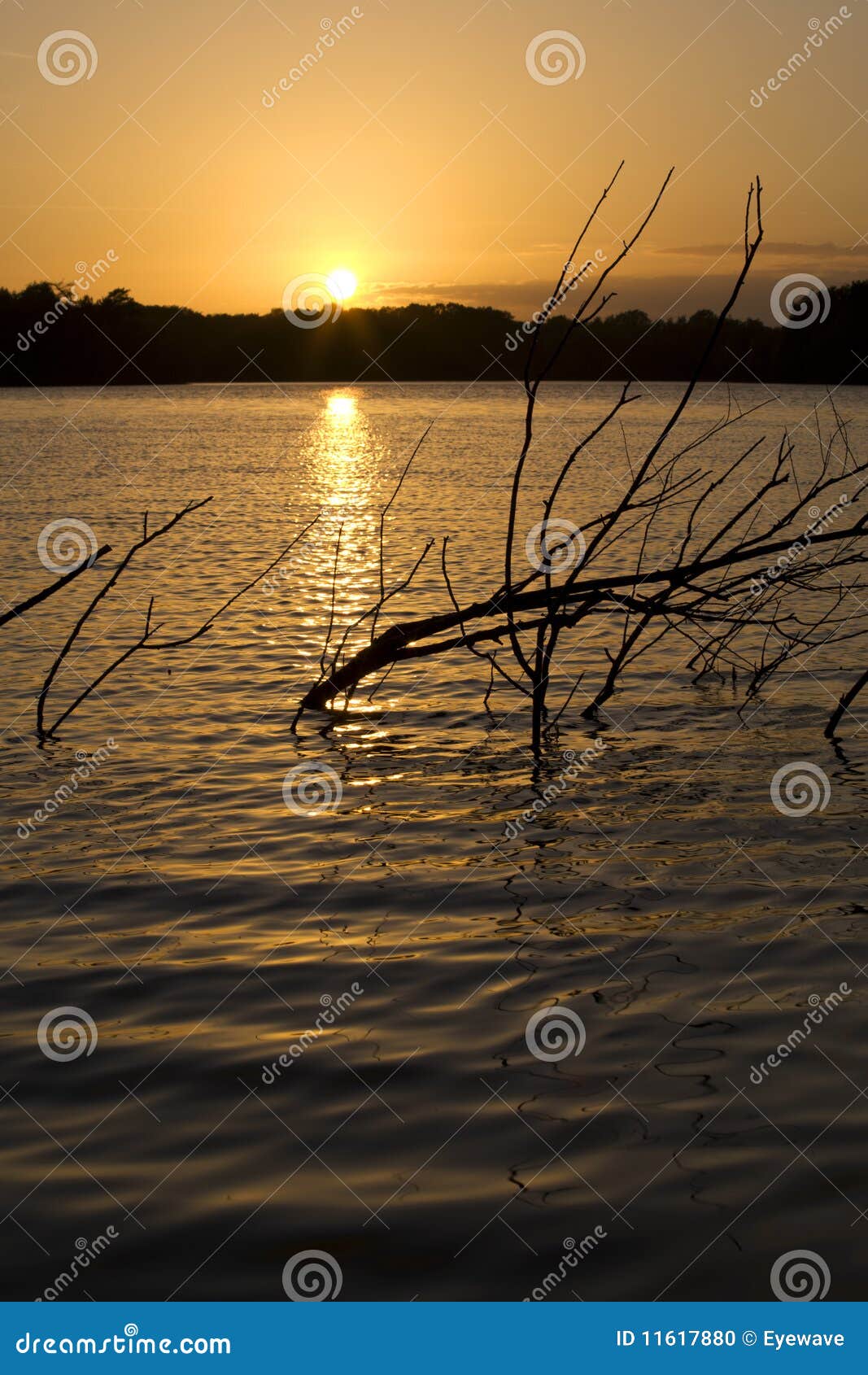 Sunset over the lake stock photo. Image of dusk, evening - 11617880