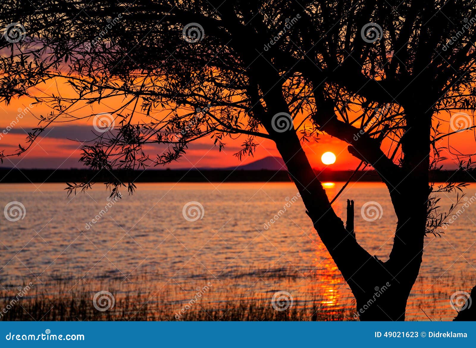 Sunset over a lake stock image. Image of ezero, evening - 49021623