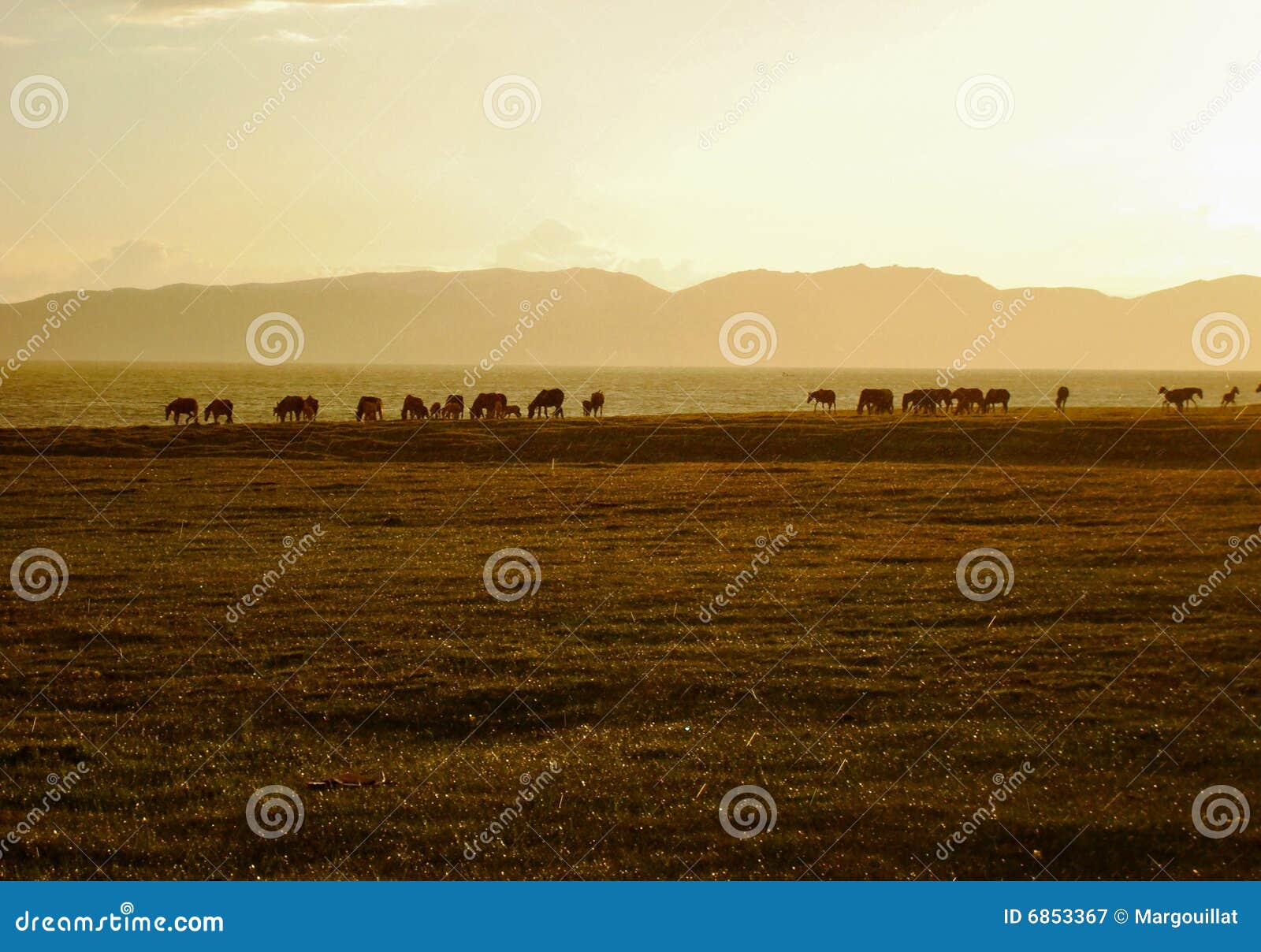Sunset over Lake Son-Kul stock image. Image of remoteness - 6853367