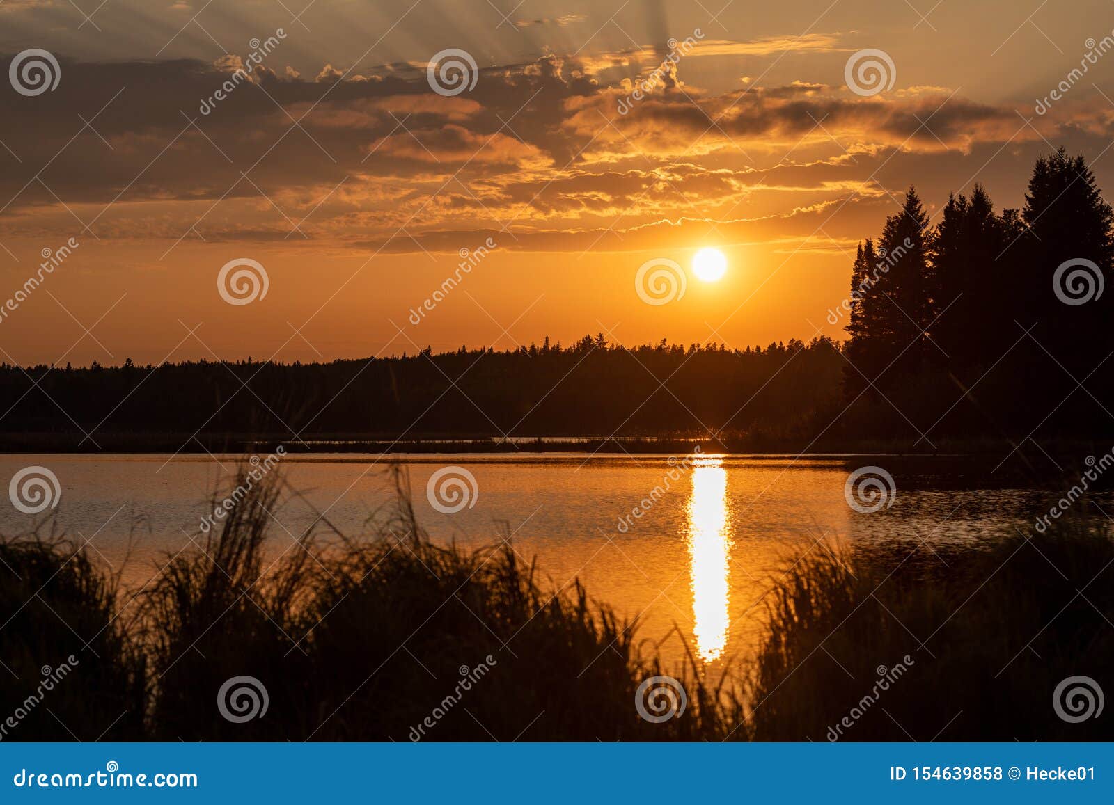 Sunset over the lake stock photo. Image of pond, water - 154639858