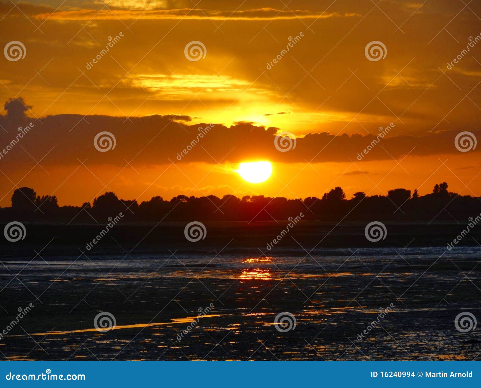Sunset Over the Marsh stock photo. Image of vista, everglade - 16240994